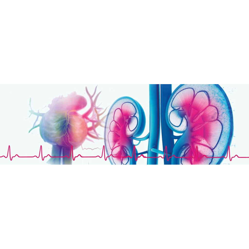 Kardiovaskuläre Komplikationen